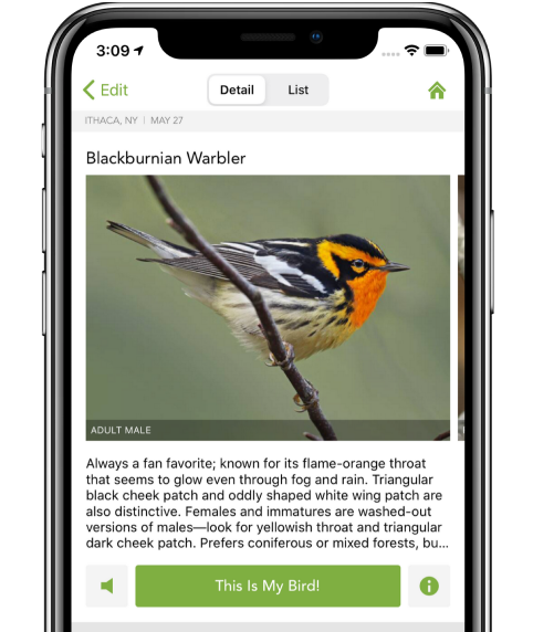 15 Fun Nature Apps to Use in Your Forest