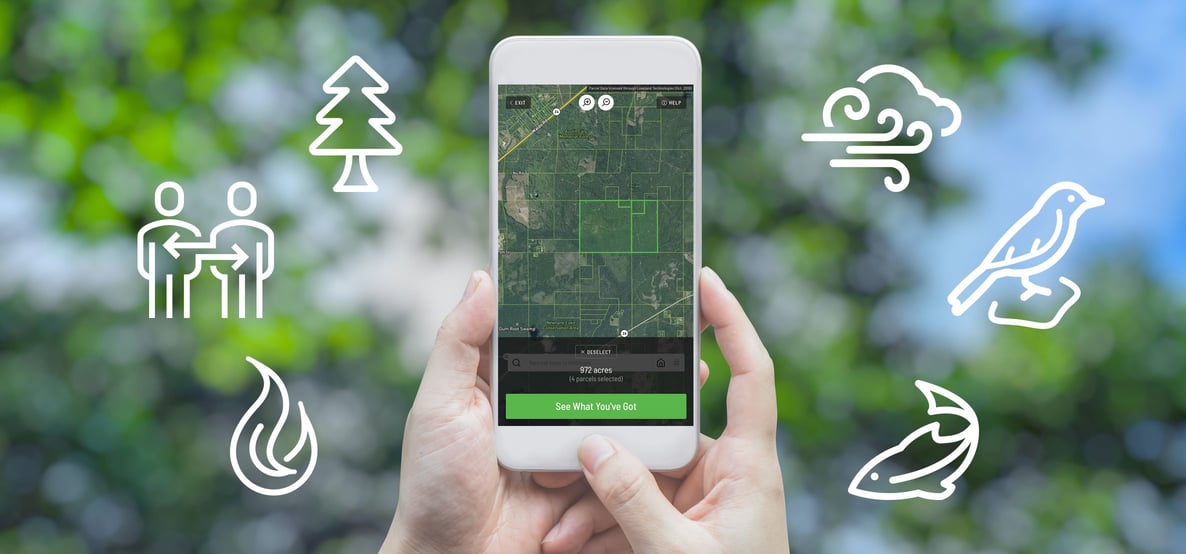 15 Fun Nature Apps to Use in Your Forest