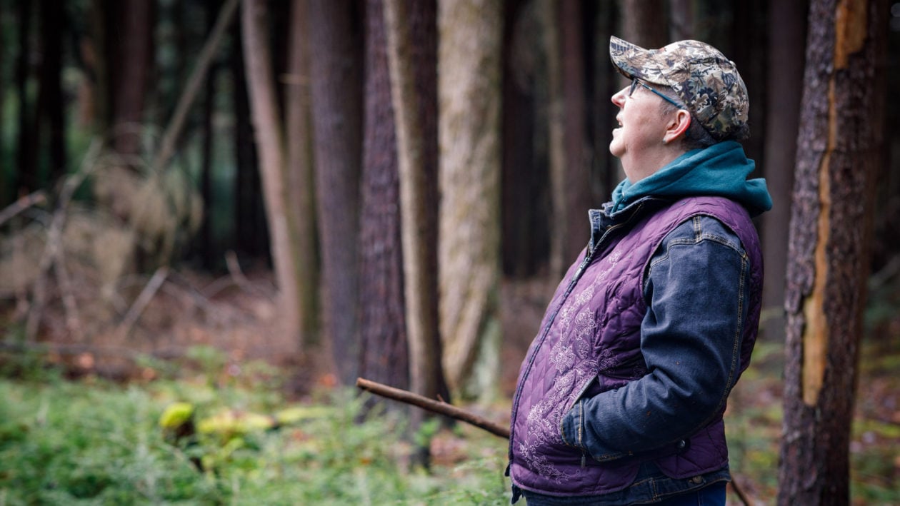 How to Prepare for a Forester Visit